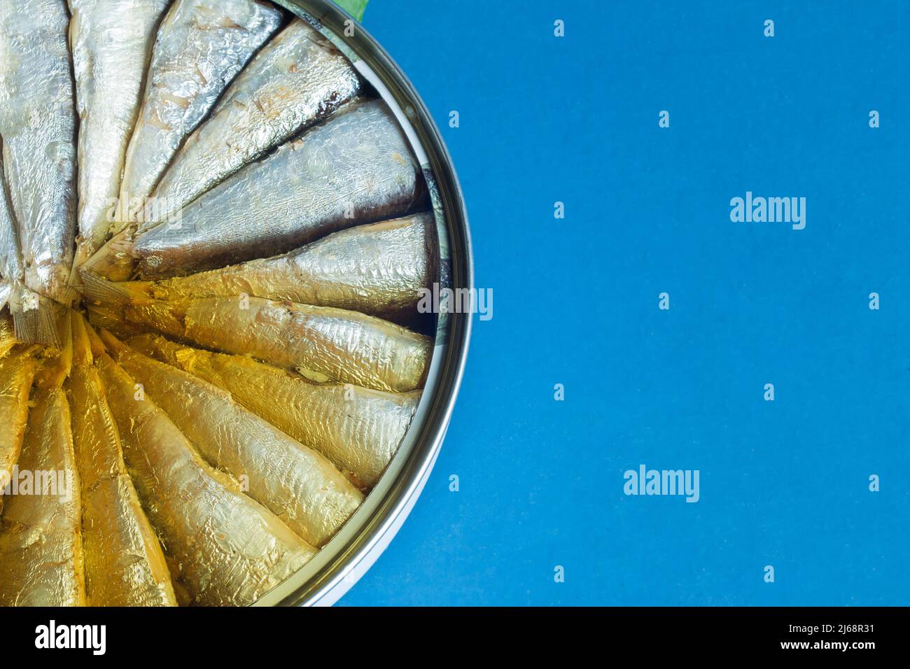 Half-round tin of canned sardines in olive oil is open on a blue ...