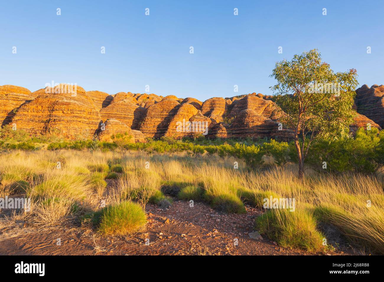The bungle bungles ranges hi-res stock photography and images - Alamy