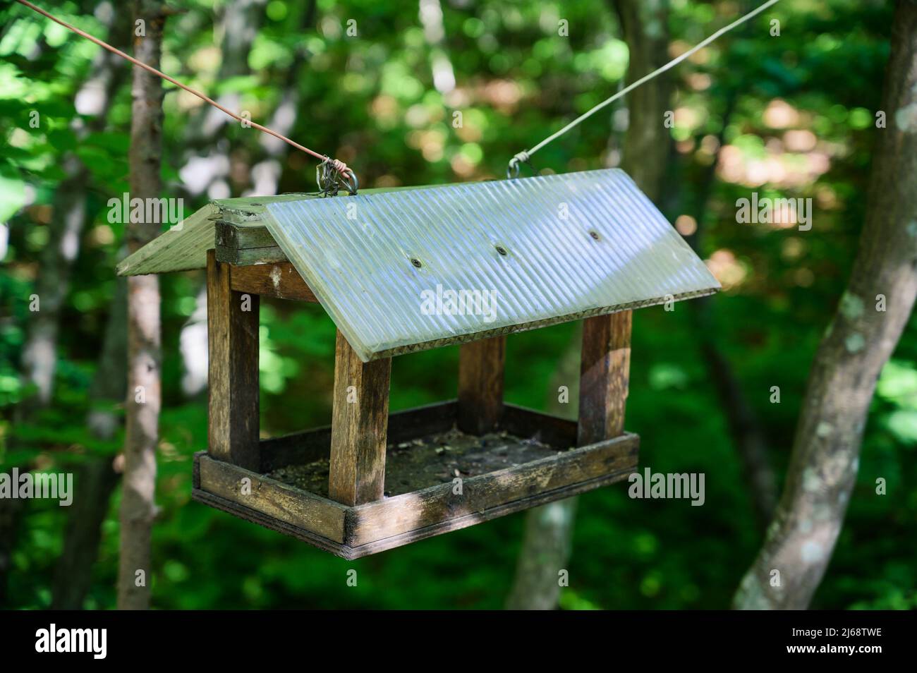 Clean bird box hi-res stock photography and images - Alamy