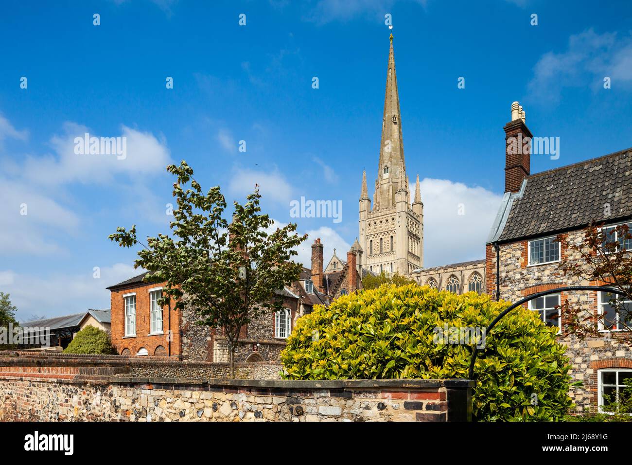 Spring afternoon at Norwich Cathedral, Norfolk, England Stock Photo - Alamy