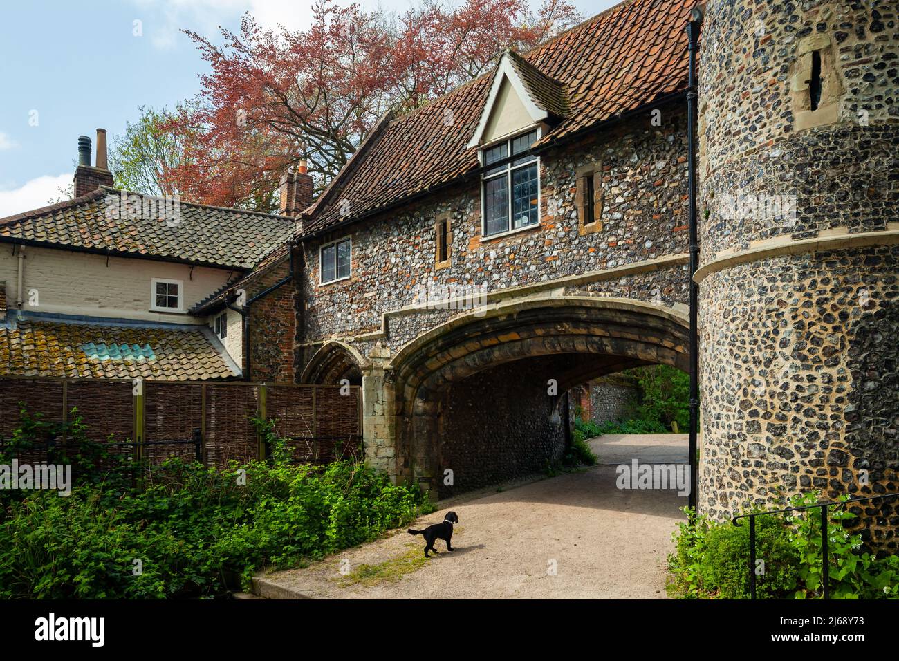 Pull's Ferry in Norwich, Norfolk, England Stock Photo - Alamy