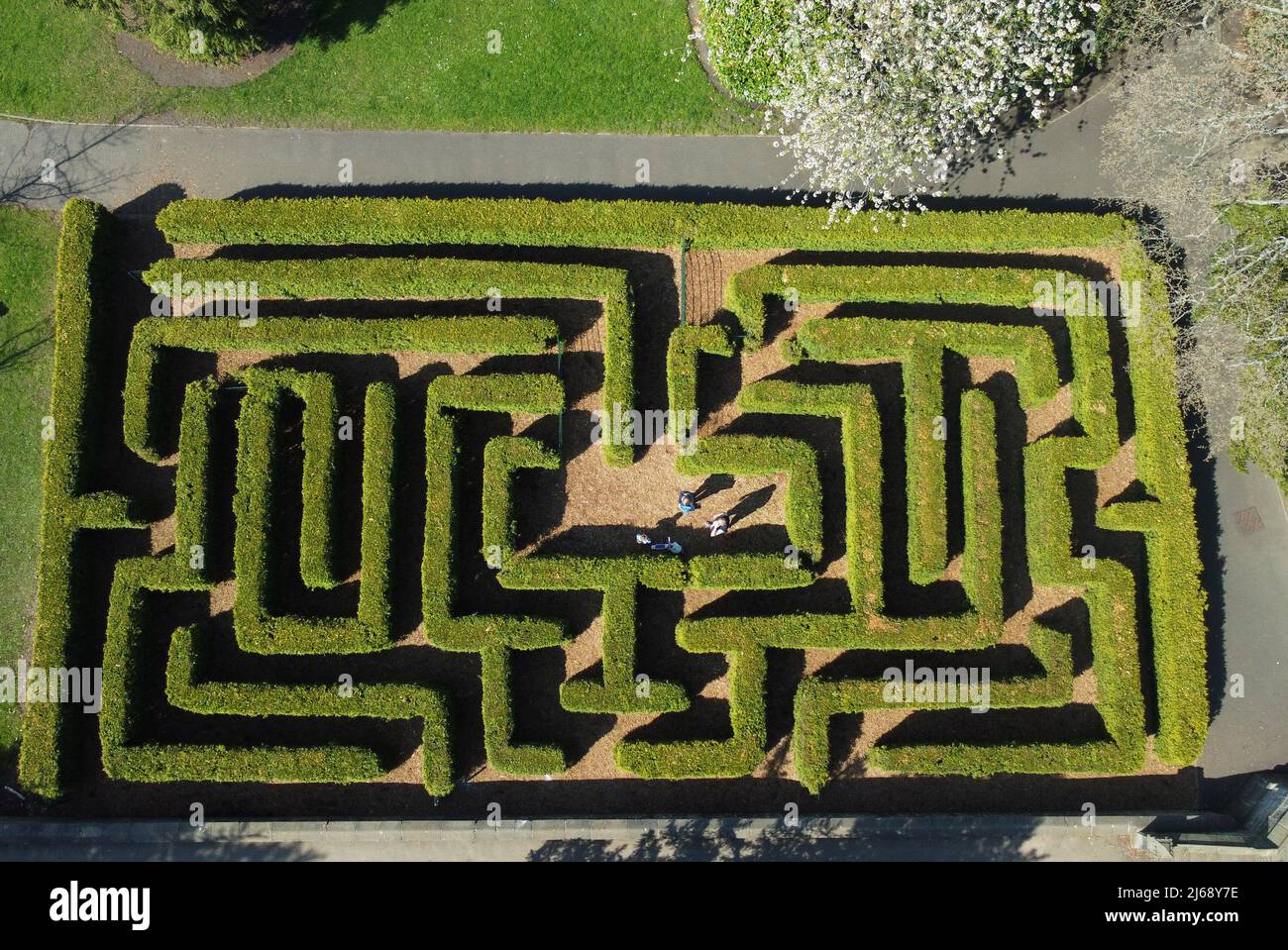 People enjoying the sunshine in a maze at Saltwell park in Gateshead ...