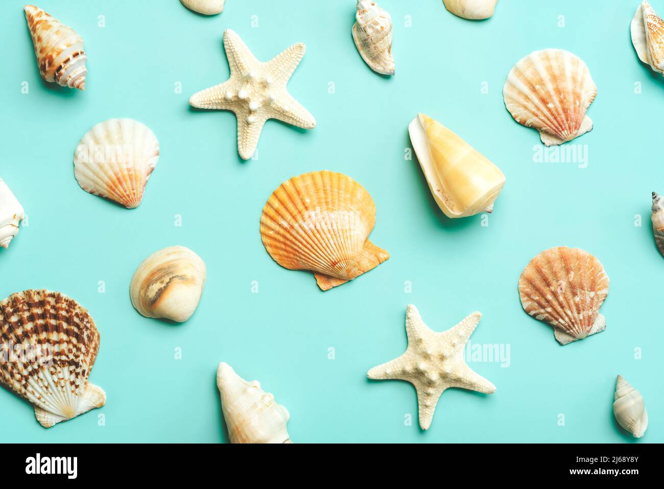 Summer holiday concept.Top view of creative pattern made of sea shells ...