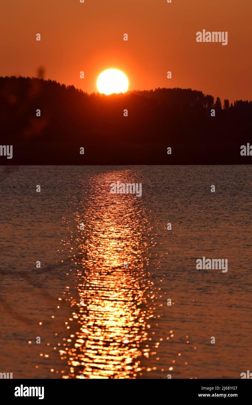 on the Edge of a Bush you can watch the Sunset Stock Photo - Alamy