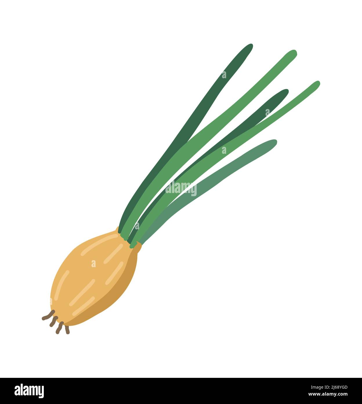 Green onions isolated on white background. Healthy vegetables. Vector ...