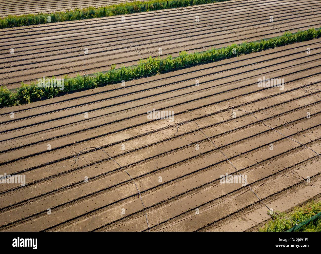 Spray circular hi-res stock photography and images - Alamy