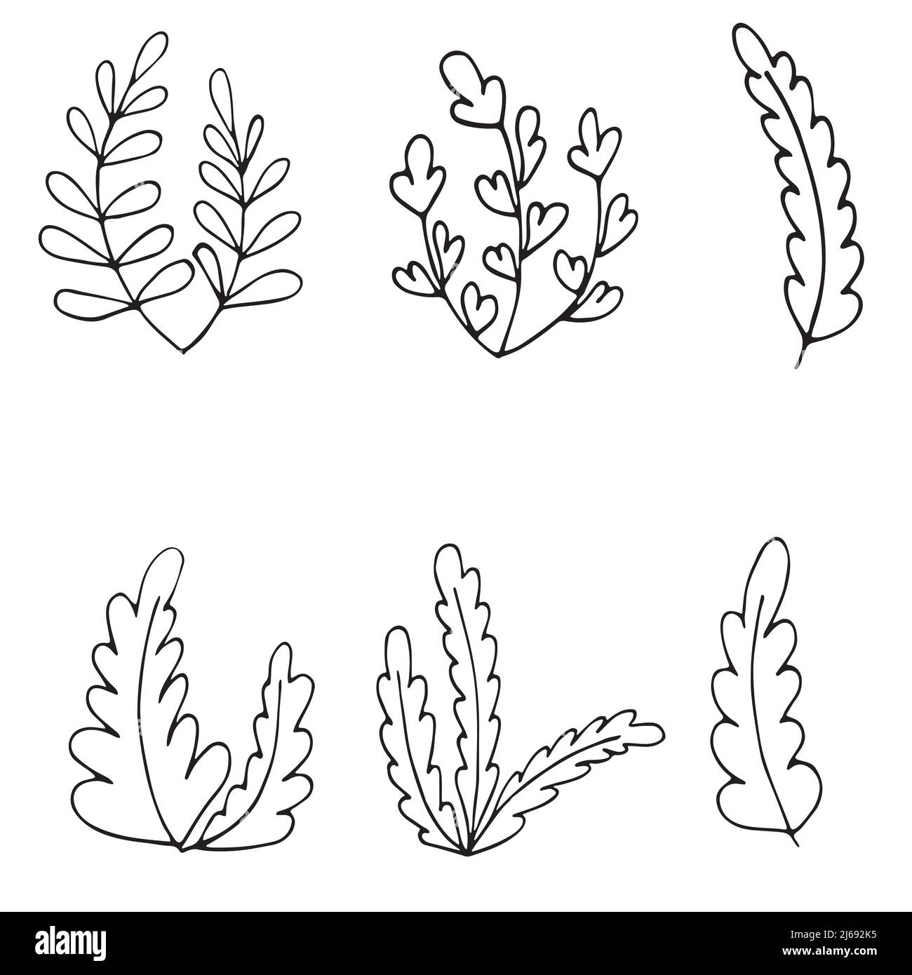 Set of Hand drawn doodle vector flowers, leaves and branches. Floral ...