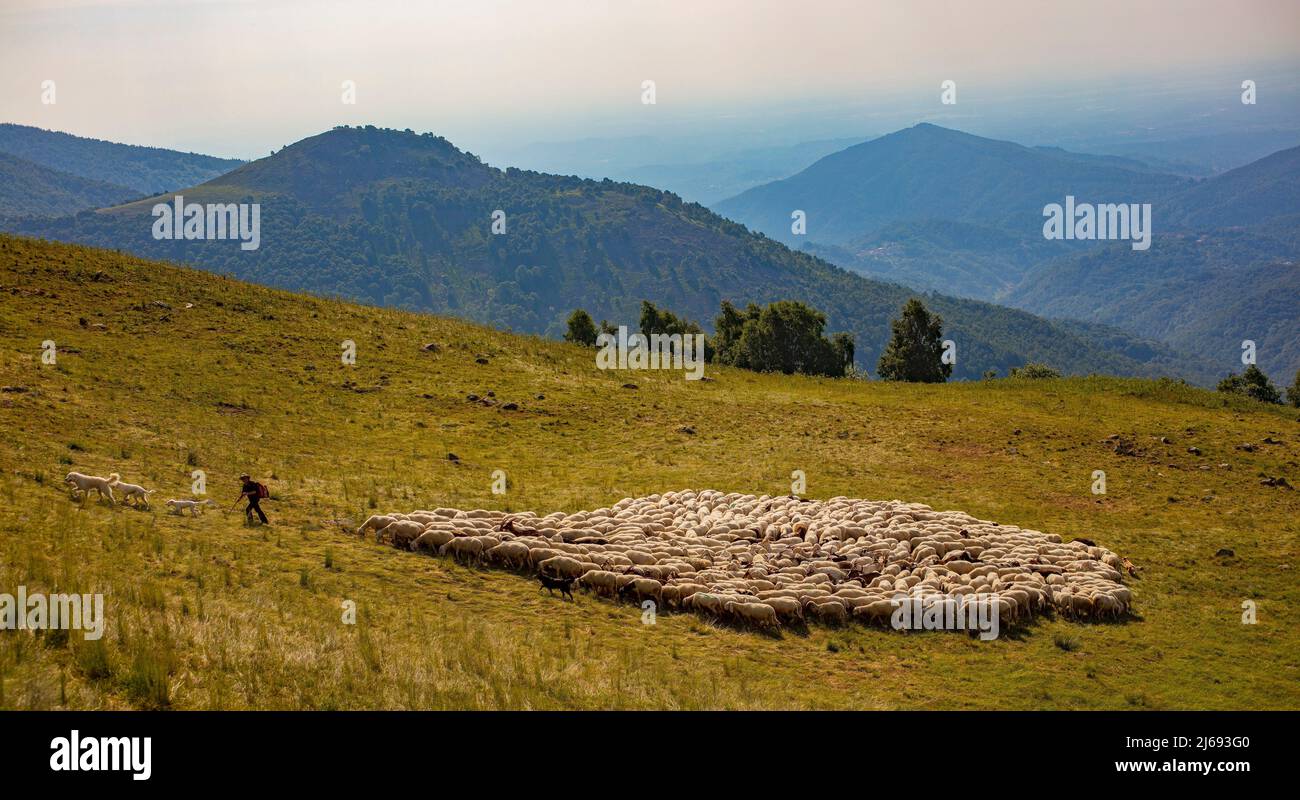 Lunga hi-res stock photography and images - Alamy