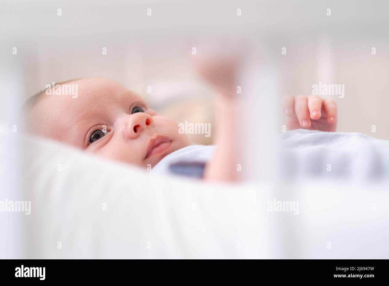 Newborn baby boy lying in nursery cocoon with blue clothes on bed in ...