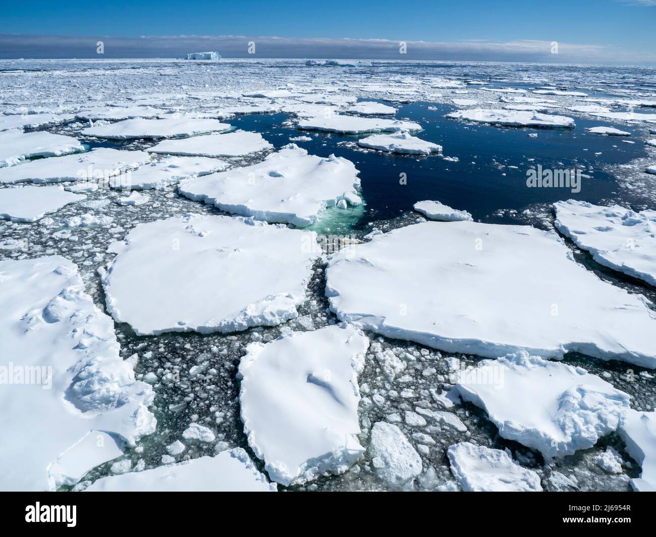 First year sea ice with glacial ice trapped near Petermann Island ...