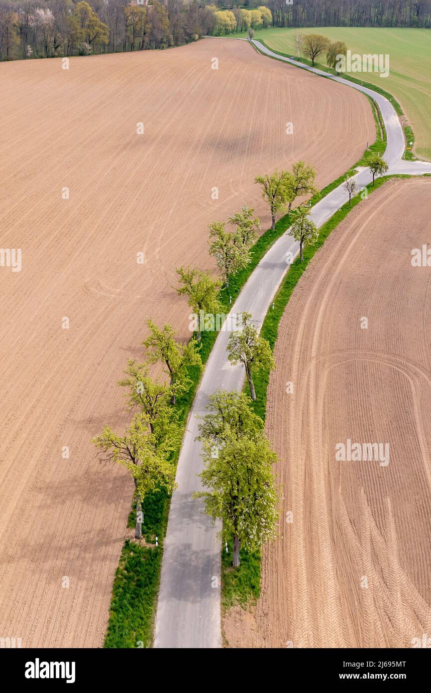 Ufz symbol hi-res stock photography and images - Alamy