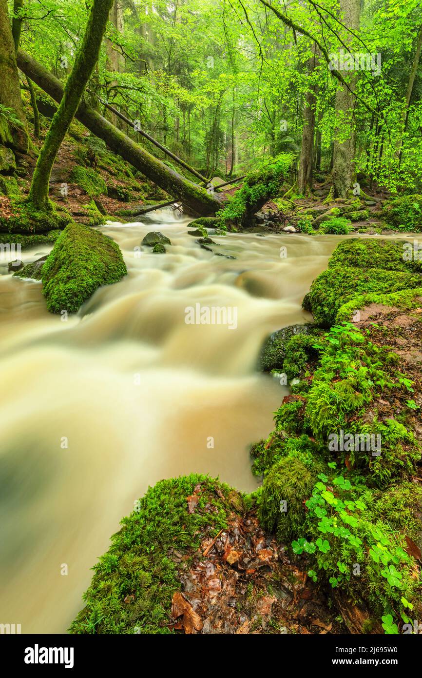 Monbachtal valley hi-res stock photography and images - Alamy