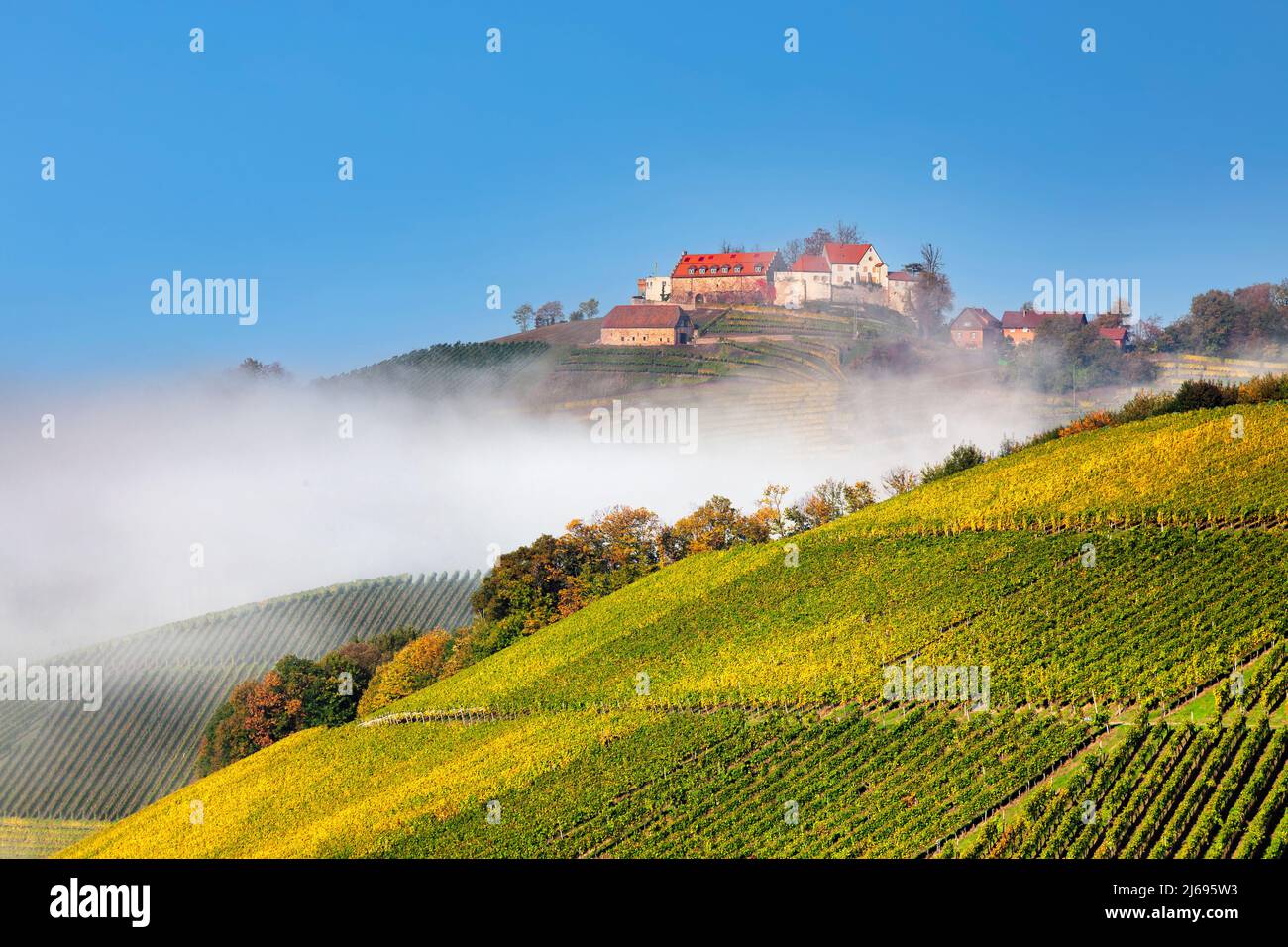 Schloss Staufenberg Castle, Durbach, Black Forest, Baden-Wurttemberg, Germany Stock Photo - Alamy