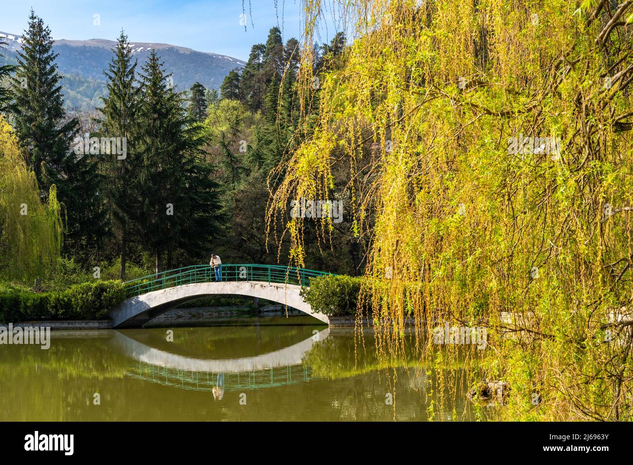 Dilijan national park hi-res stock photography and images - Alamy