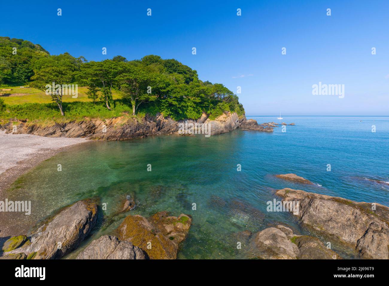 Combe martin tree hi-res stock photography and images - Alamy