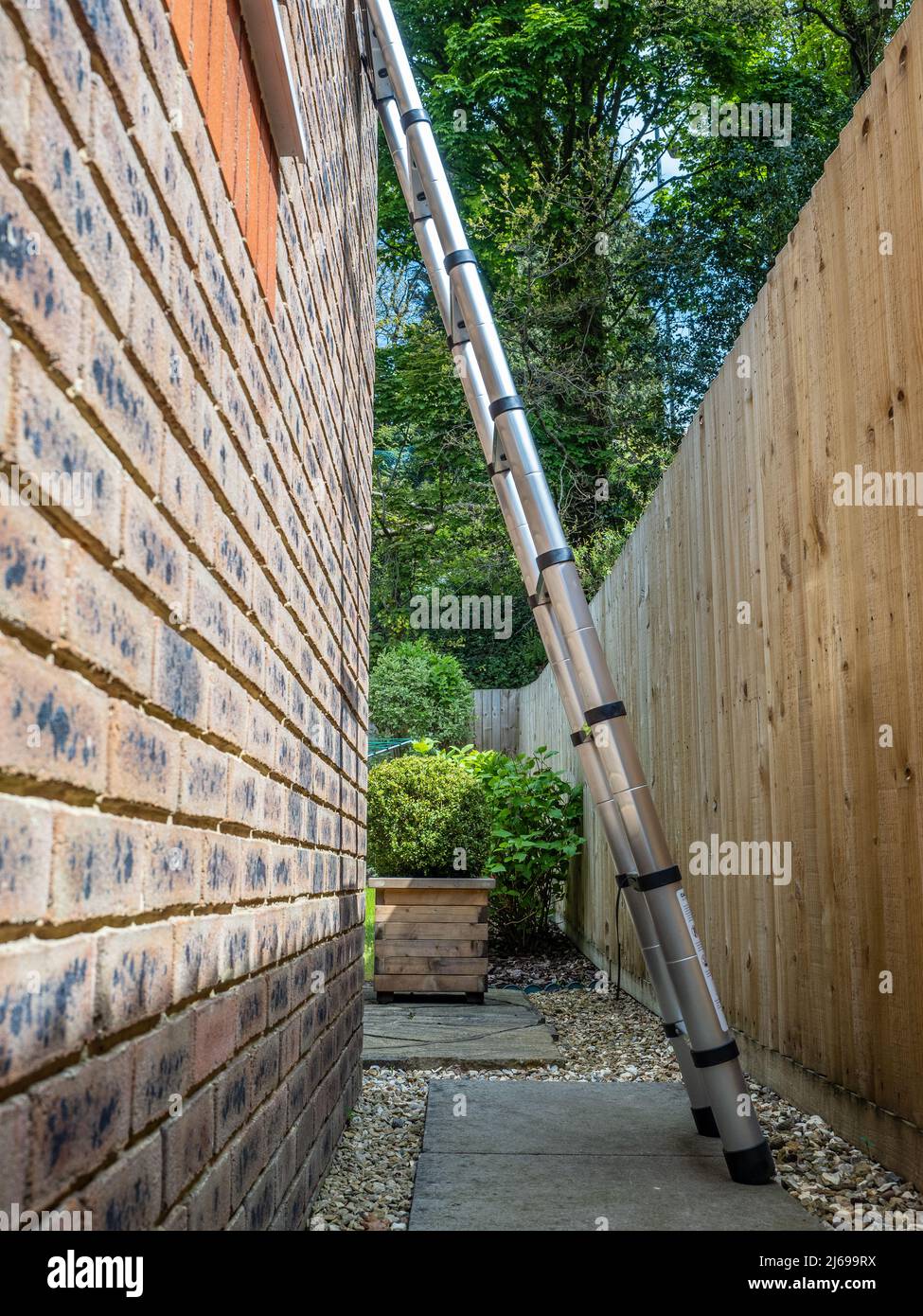 Aluminium tubular section telescopic access ladder fully extended ...