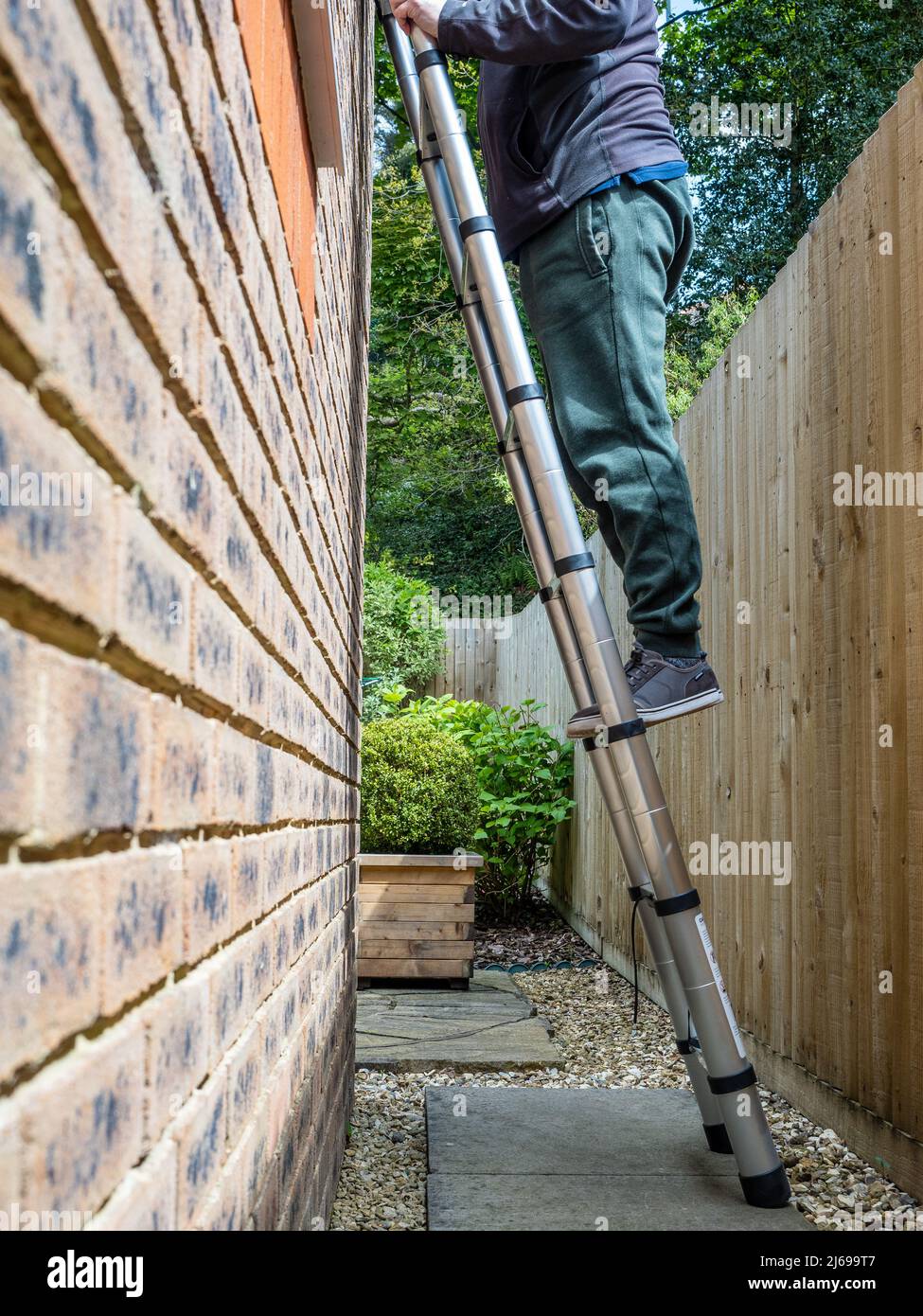Aluminium tubular section telescopic access ladder fully extended with ...