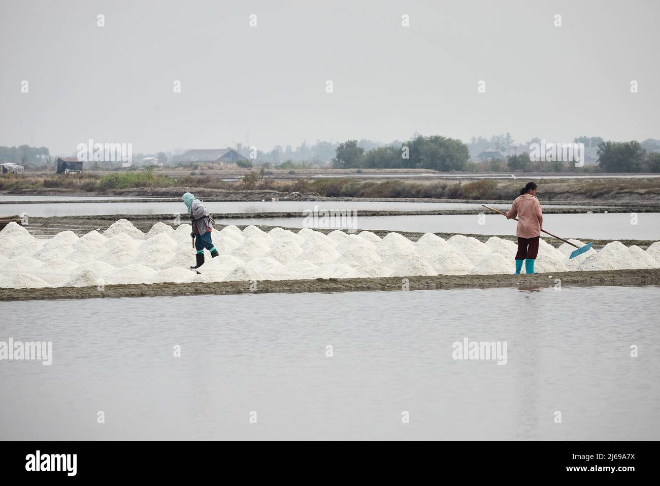 Worker harvesting dried salt at salt pan Stock Photo - Alamy