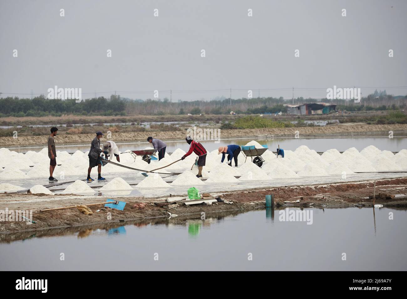 Worker harvesting dried salt at salt pan Stock Photo - Alamy