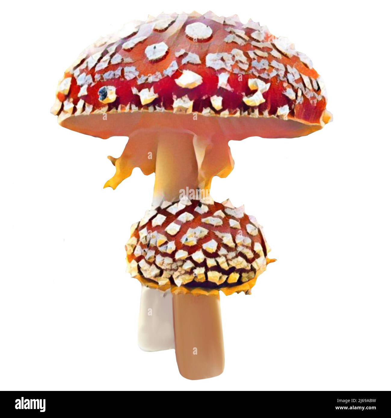 Mushroom with frog Cut Out Stock Images & Pictures - Alamy