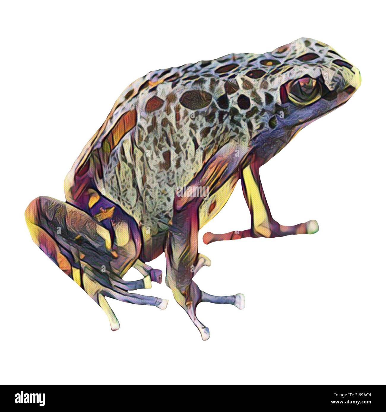 Sitting frog on white background, clip art Stock Photo - Alamy