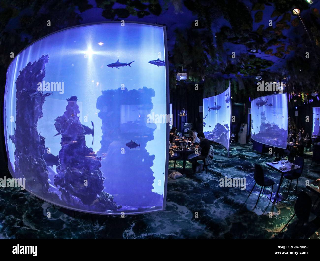 EPHEMERA THE FIRST IMMERSIVE RESTAURANT IN PARIS Stock Photo - Alamy