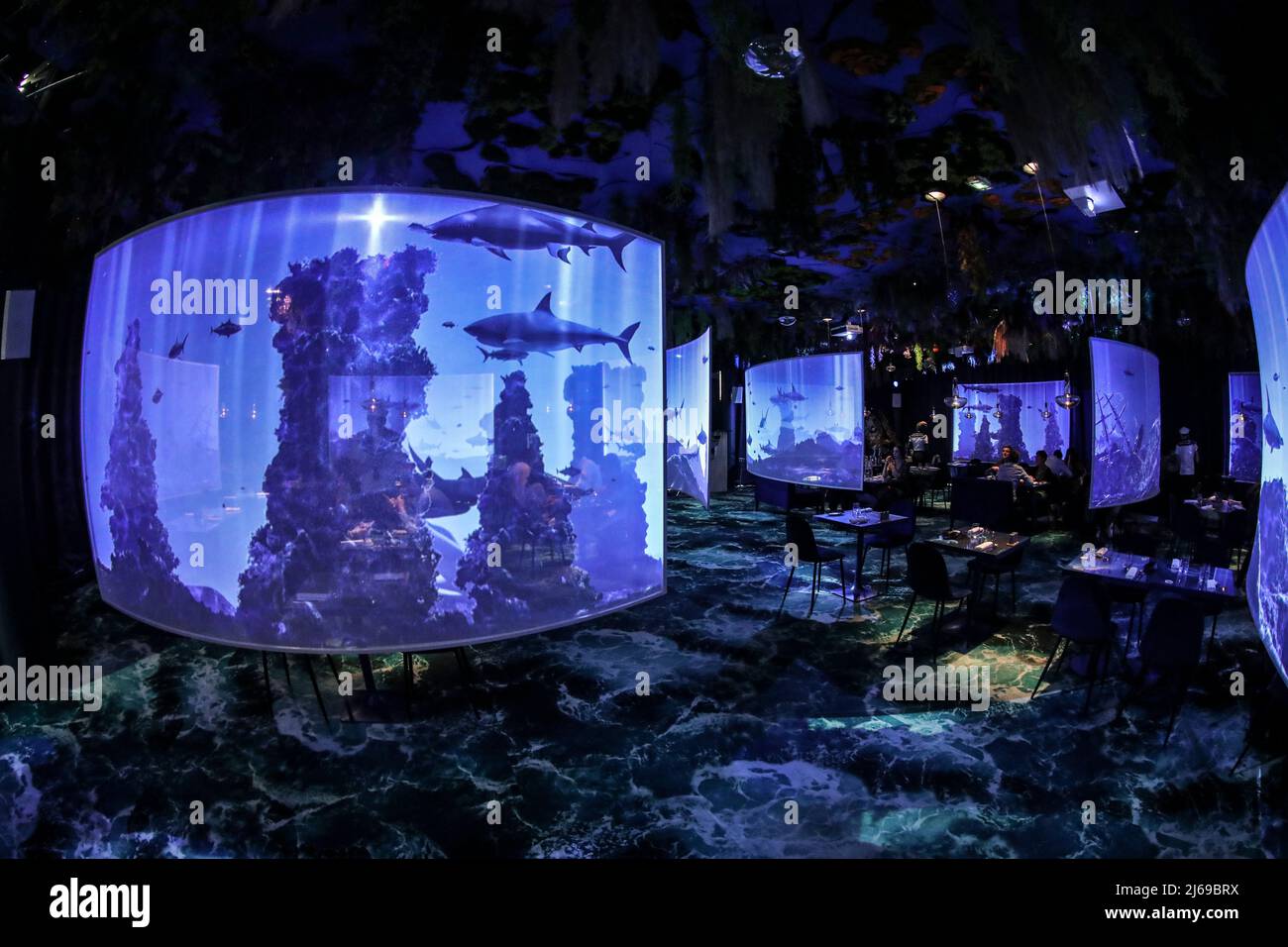 EPHEMERA THE FIRST IMMERSIVE RESTAURANT IN PARIS Stock Photo - Alamy