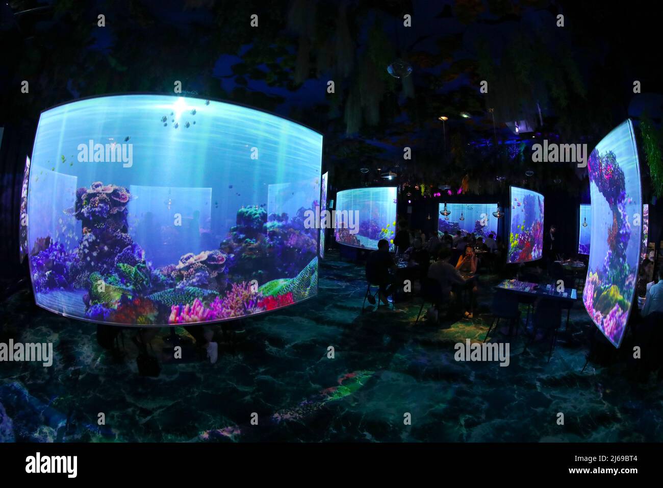 EPHEMERA THE FIRST IMMERSIVE RESTAURANT IN PARIS Stock Photo - Alamy