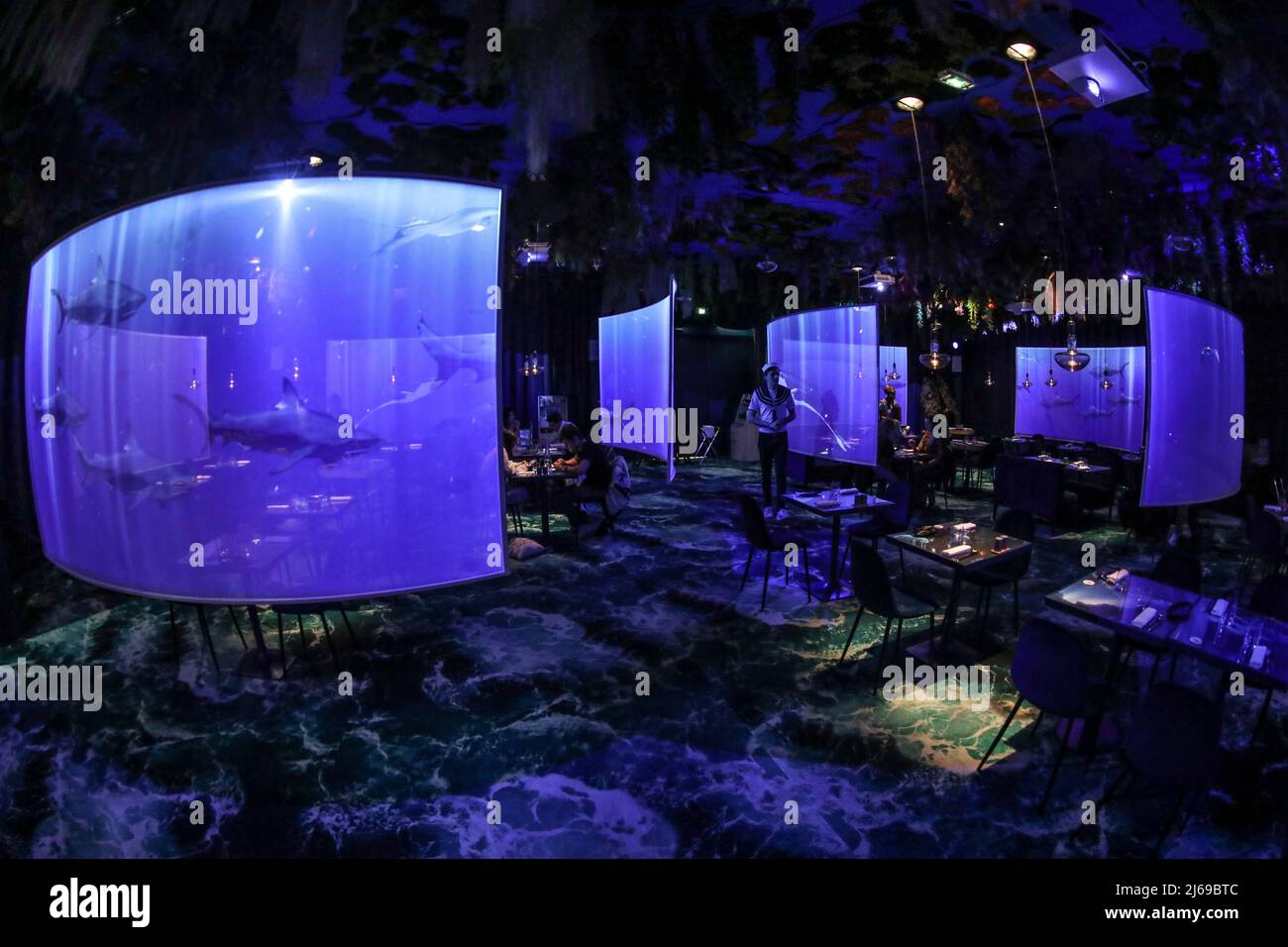 Restaurant immersif hi-res stock photography and images - Alamy