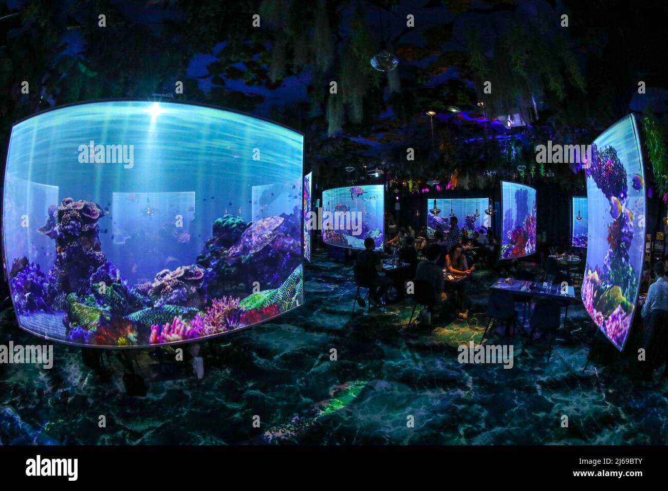 EPHEMERA THE FIRST IMMERSIVE RESTAURANT IN PARIS Stock Photo - Alamy