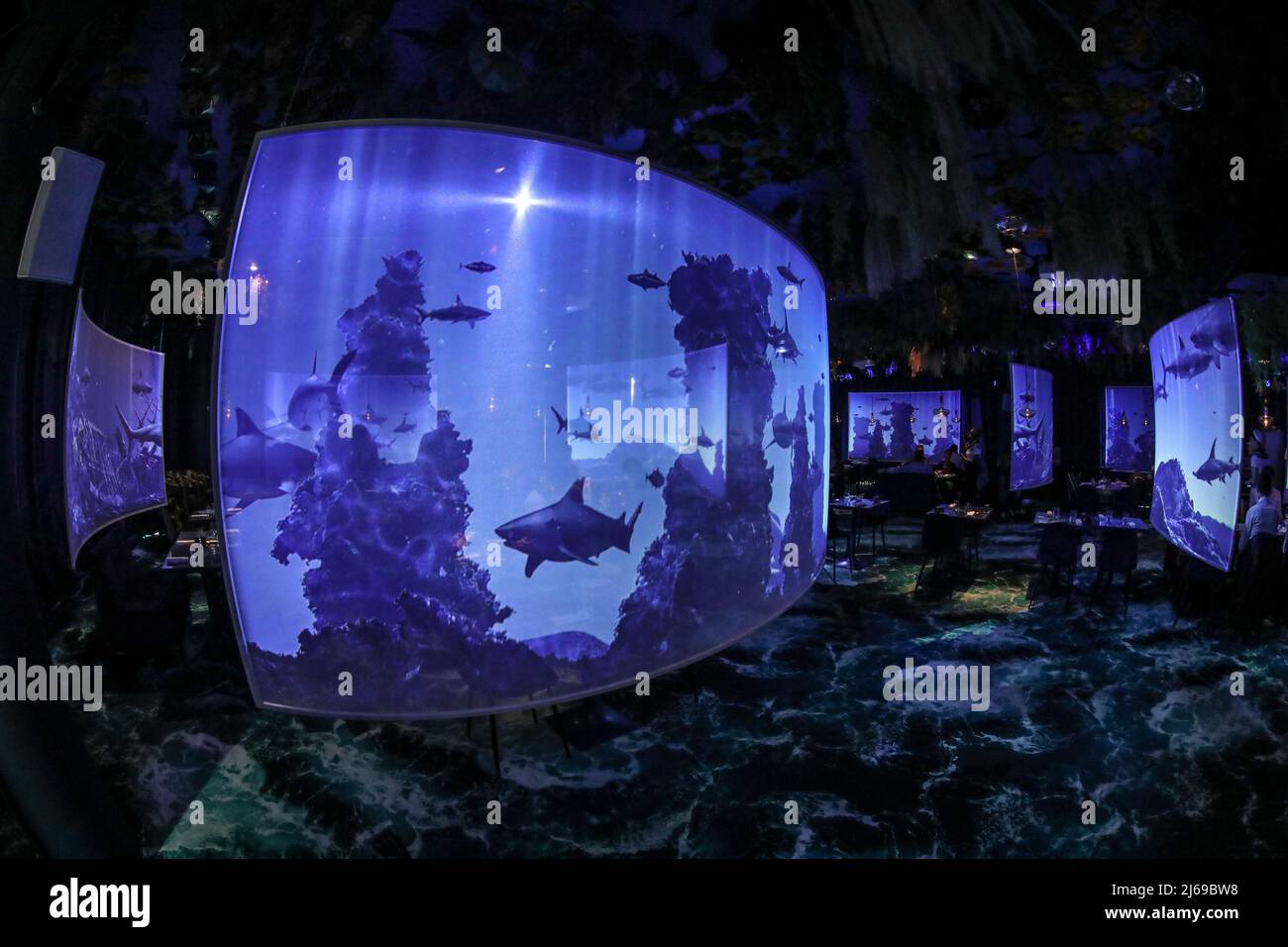 EPHEMERA THE FIRST IMMERSIVE RESTAURANT IN PARIS Stock Photo - Alamy