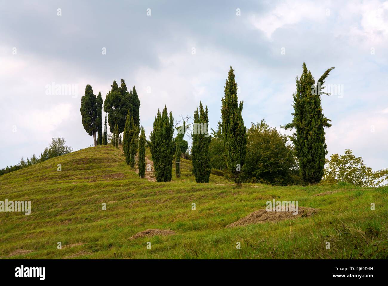 Landscape in the park of Curone at Monte di Rovagnate, Lecco province ...