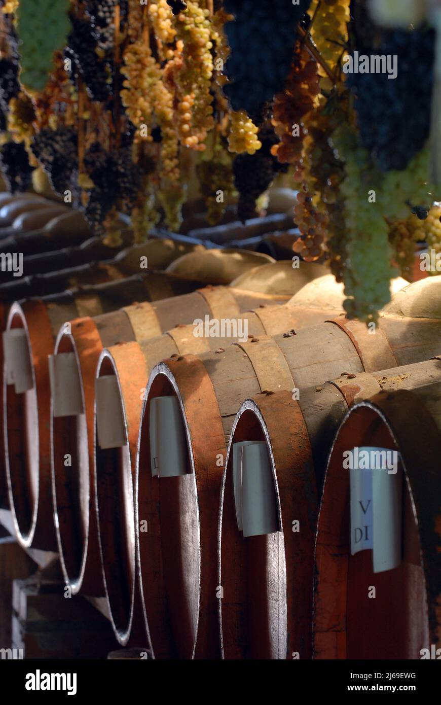 Italy, Toscana, Castello di Poppiano (Firenze), Conte Guicciardini, The ...