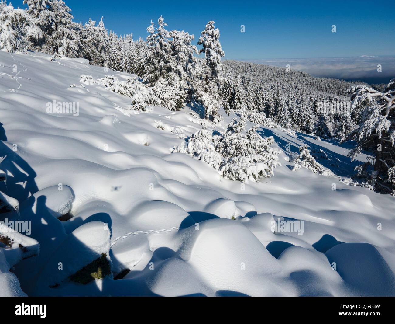 Aerial Winter view of Vitosha Mountain, Sofia City Region, Bulgaria ...