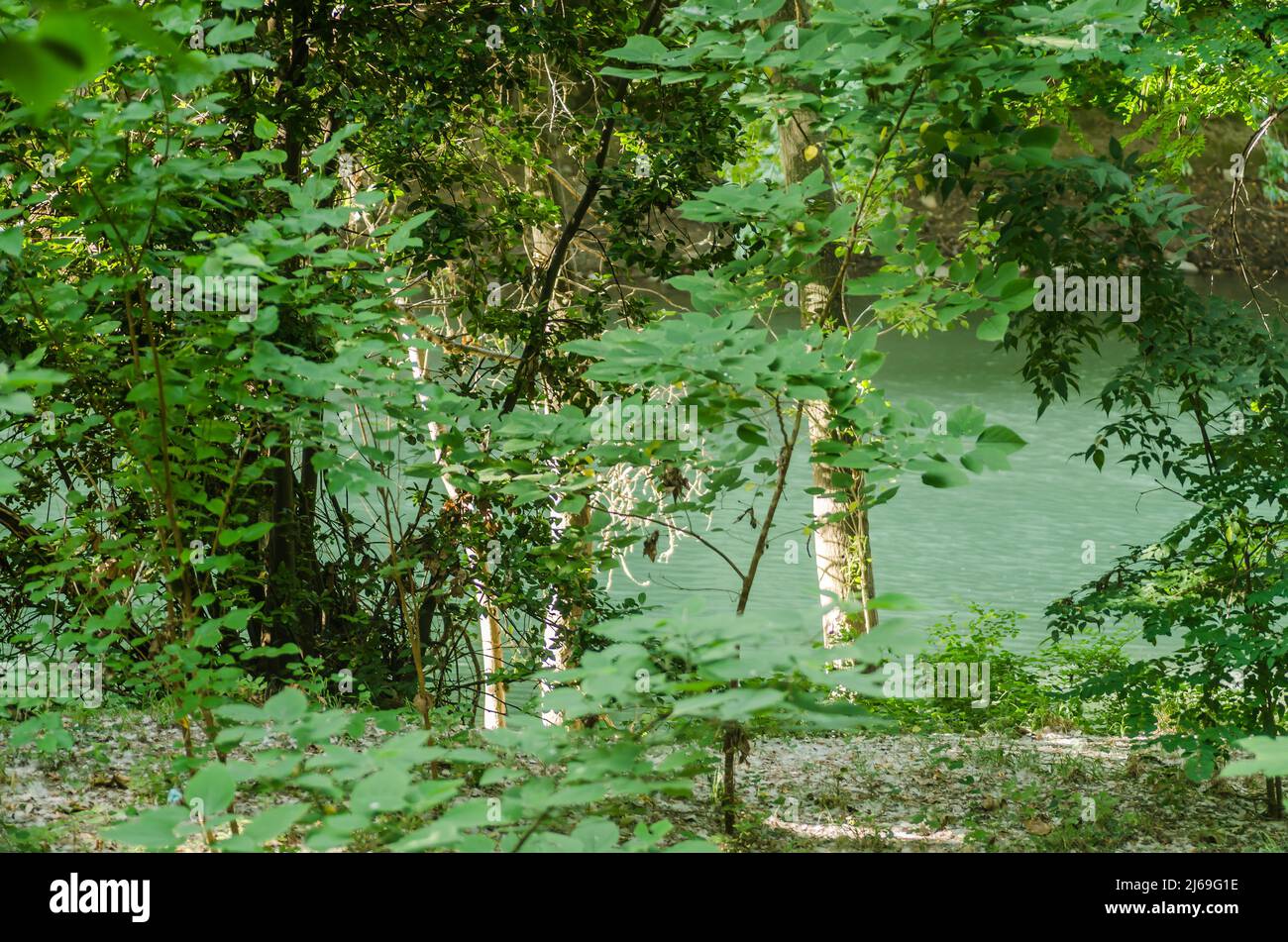 Tembi valley hi-res stock photography and images - Alamy