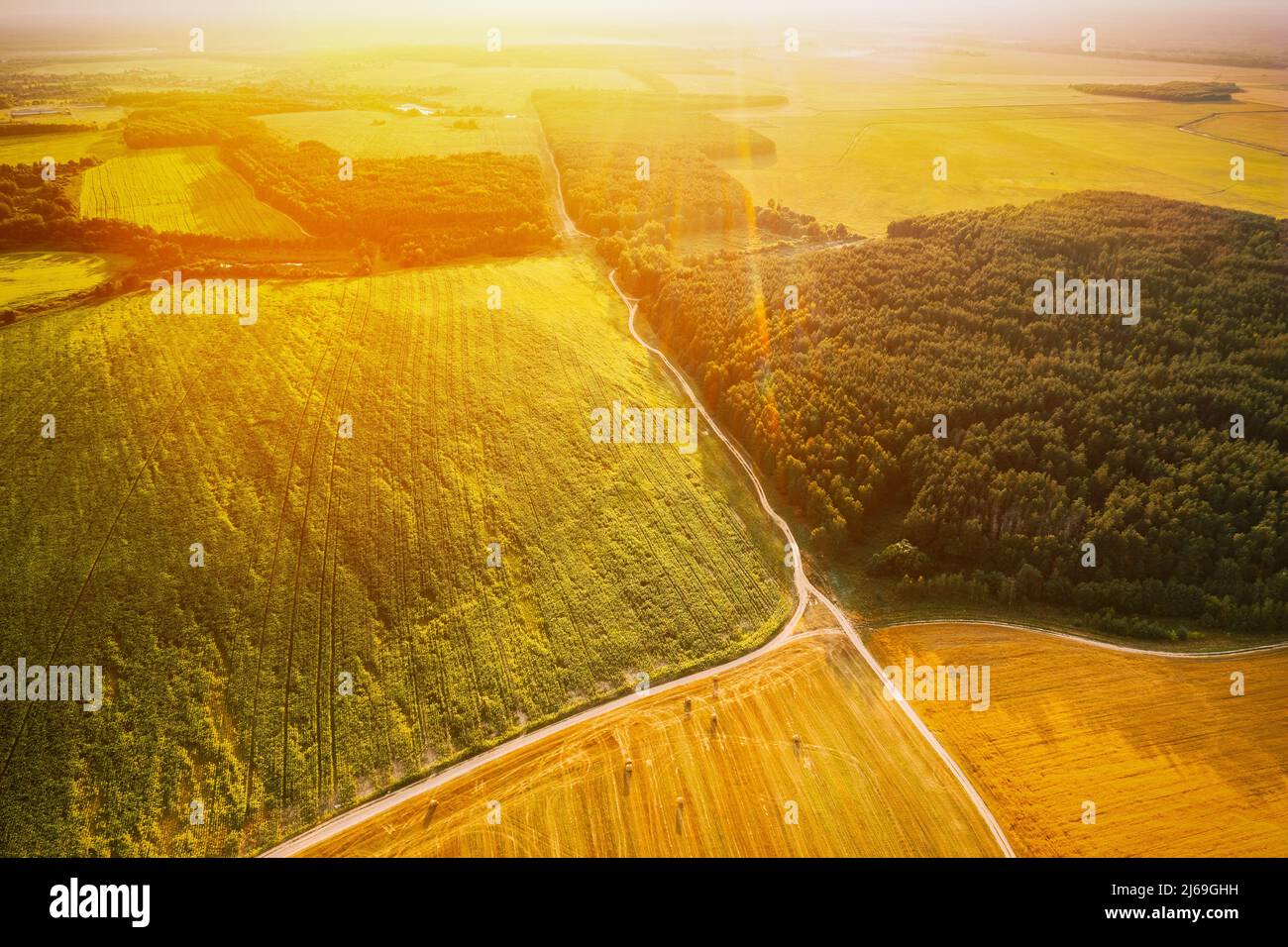 Aerial View Of summer Hay Rolls Straw Field and forest Landscape ...