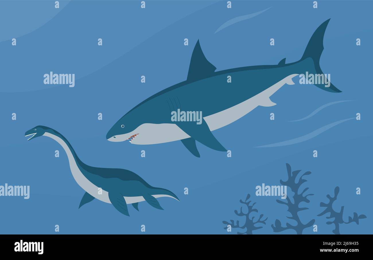 Megalodon Jaws Vs Great White Jaws