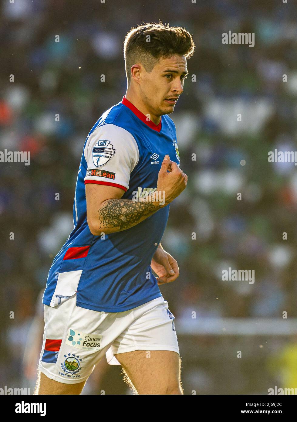 Stewart linfield player hi-res stock photography and images - Alamy