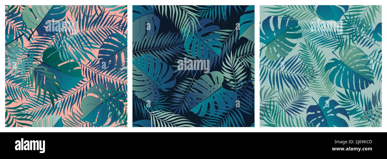 Exotic leaves palm monstera Cut Out Stock Images & Pictures - Alamy