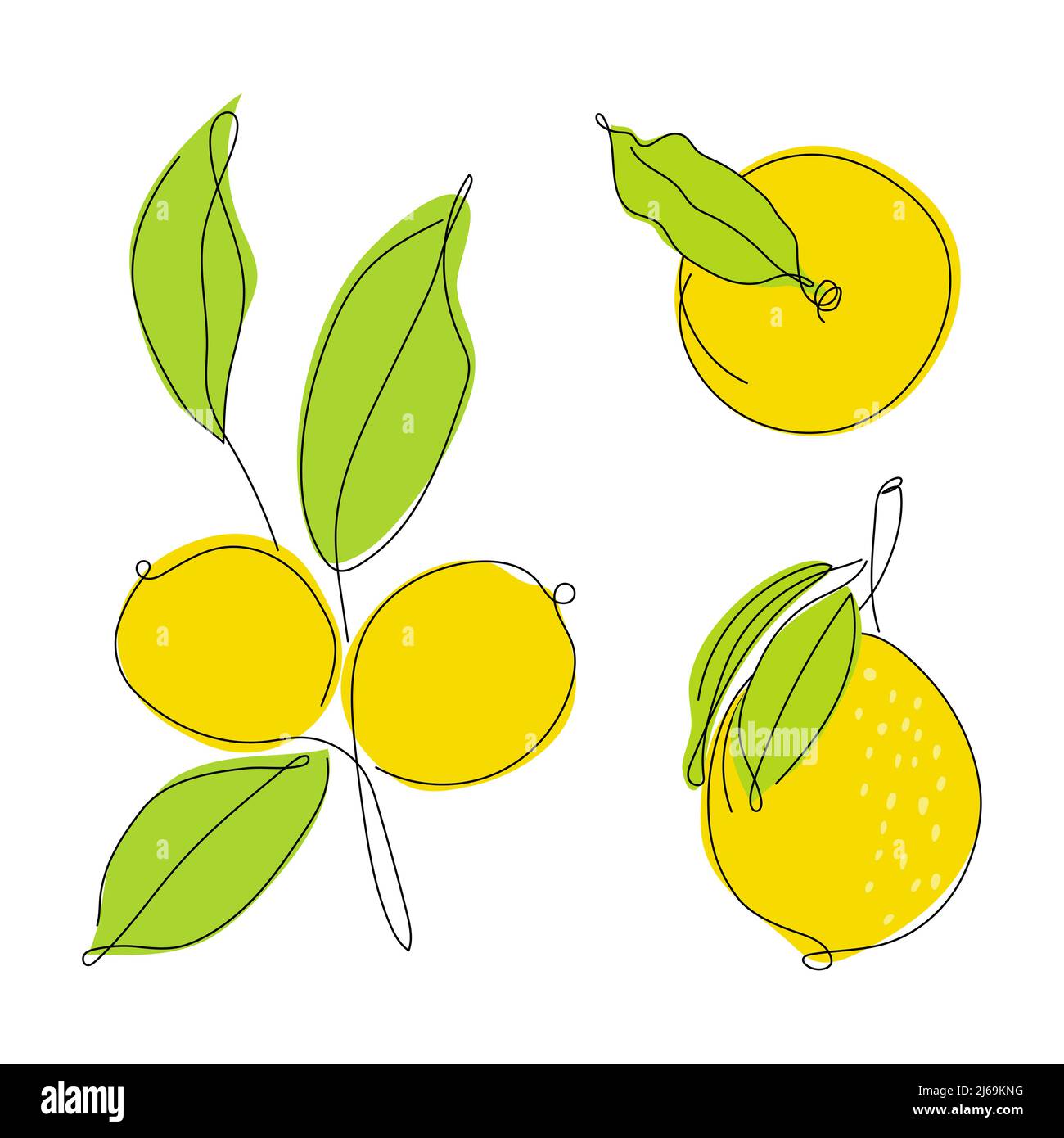 Set of lemon element, citrus fruits. Vector illustration collection ...