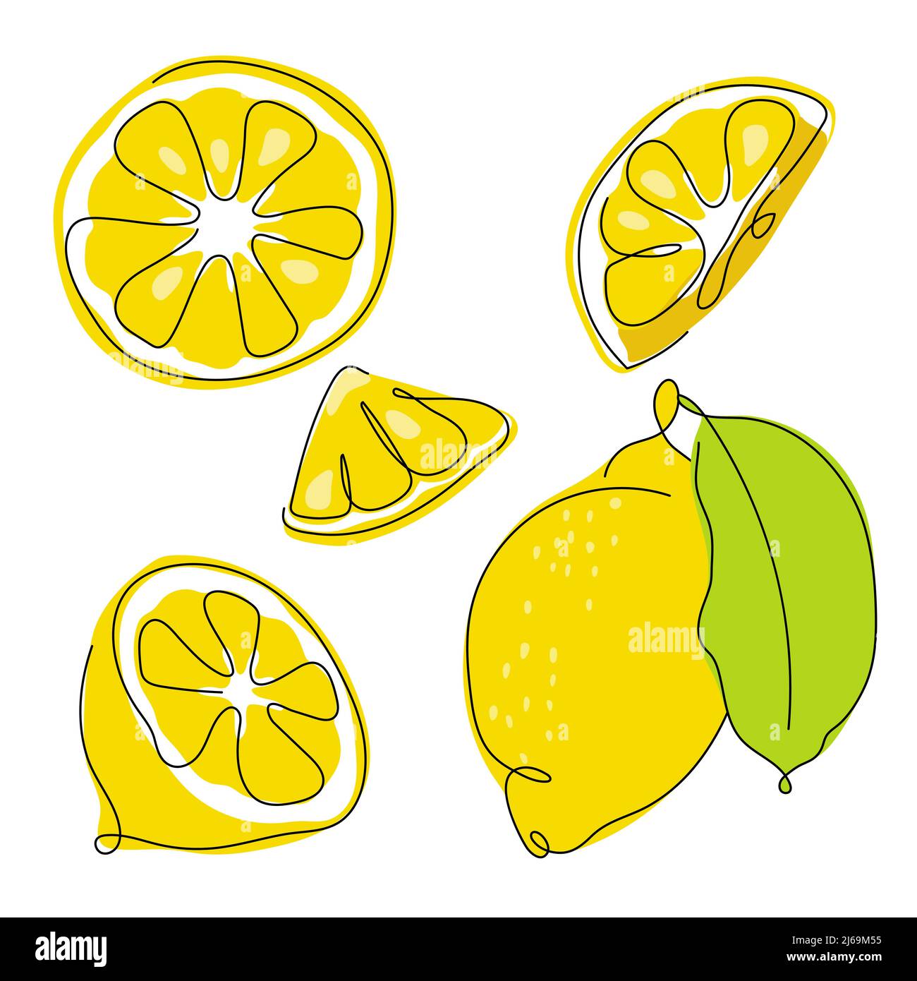 Set of citrus fruits, slice lemon element. Vector illustration ...