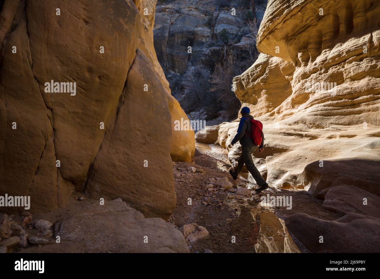Slot canyon in Grand Staircase Escalante National park, Utah, USA ...