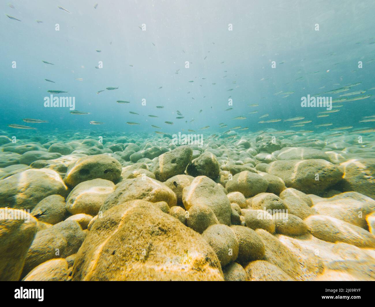 School of fish underwater at Kako Lagadi beach, Kefalonia, Greece Stock ...
