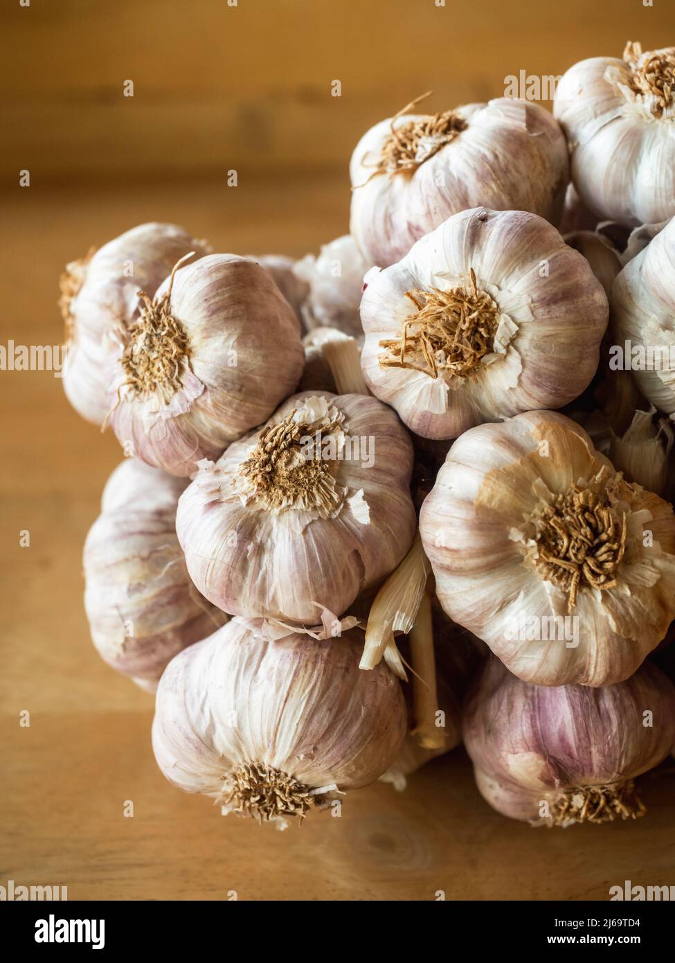 Closeup a bunch of dried garlic Stock Photo - Alamy