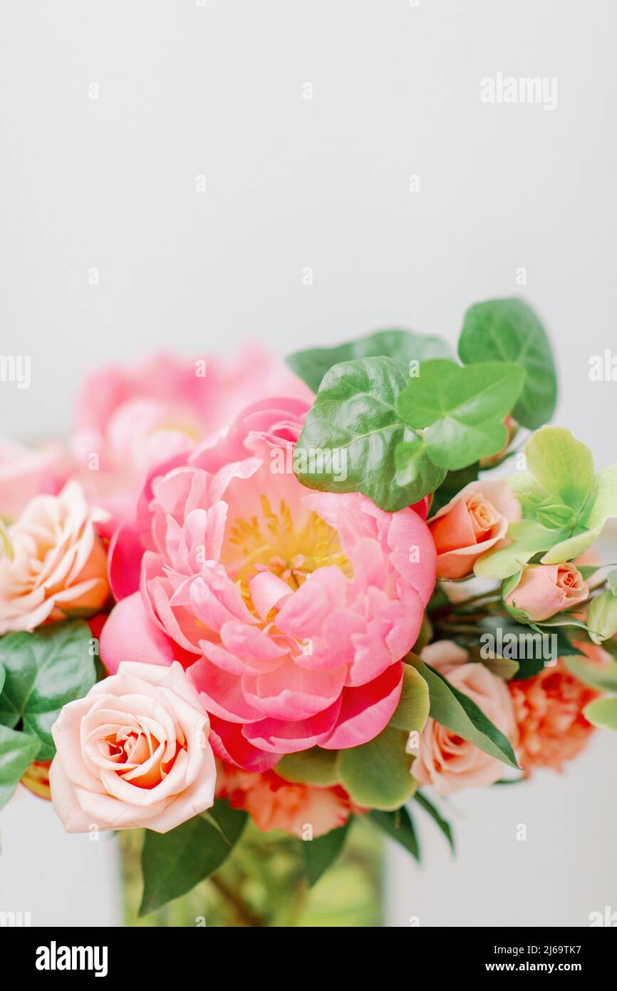 Large peonies hi-res stock photography and images - Alamy