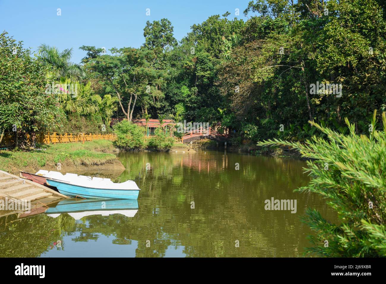 Boats in Green Lake with clear water, in Lataguri, West Bengal Stock ...