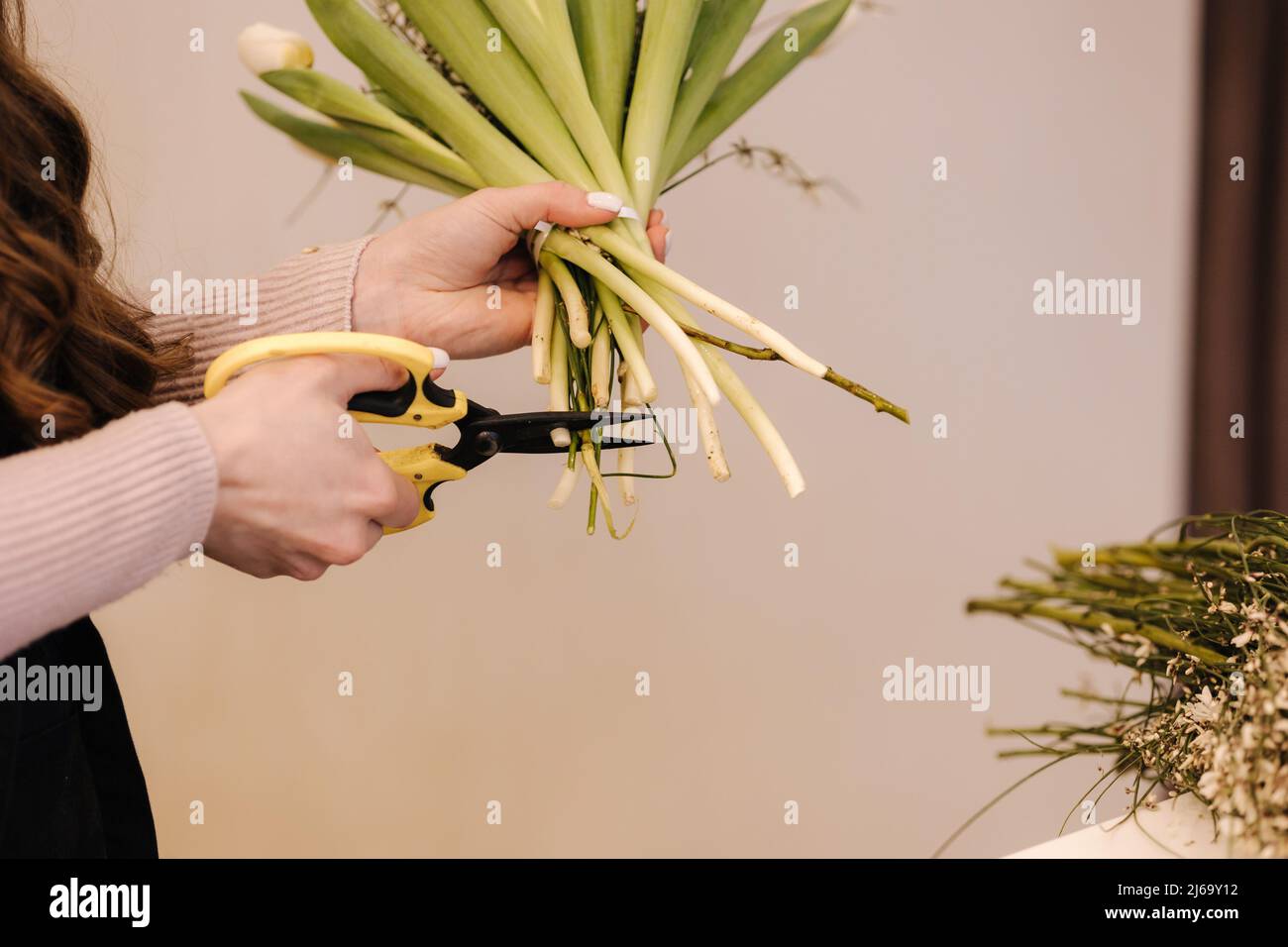 Young woman cuts off the limbs of flowers. Middle selection Stock Photo ...