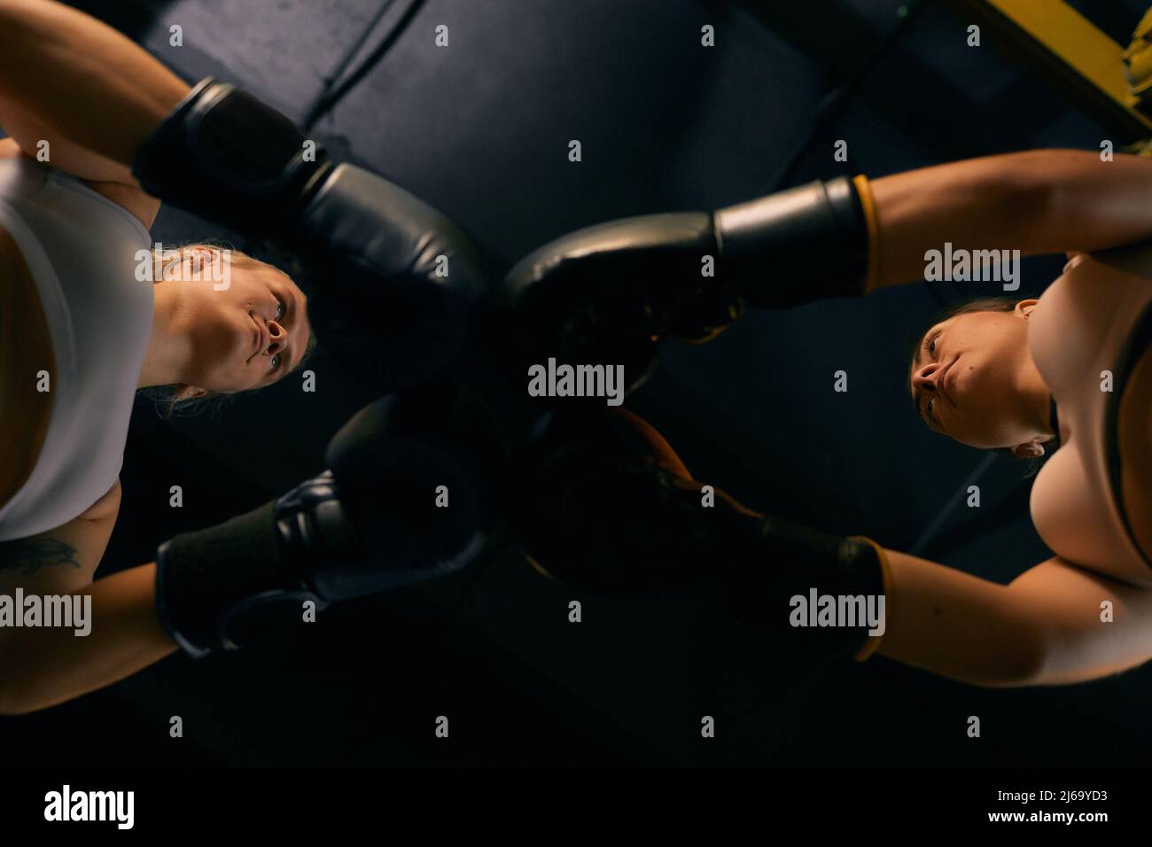 From below shot of two female boxers greeting each other at sparring ...