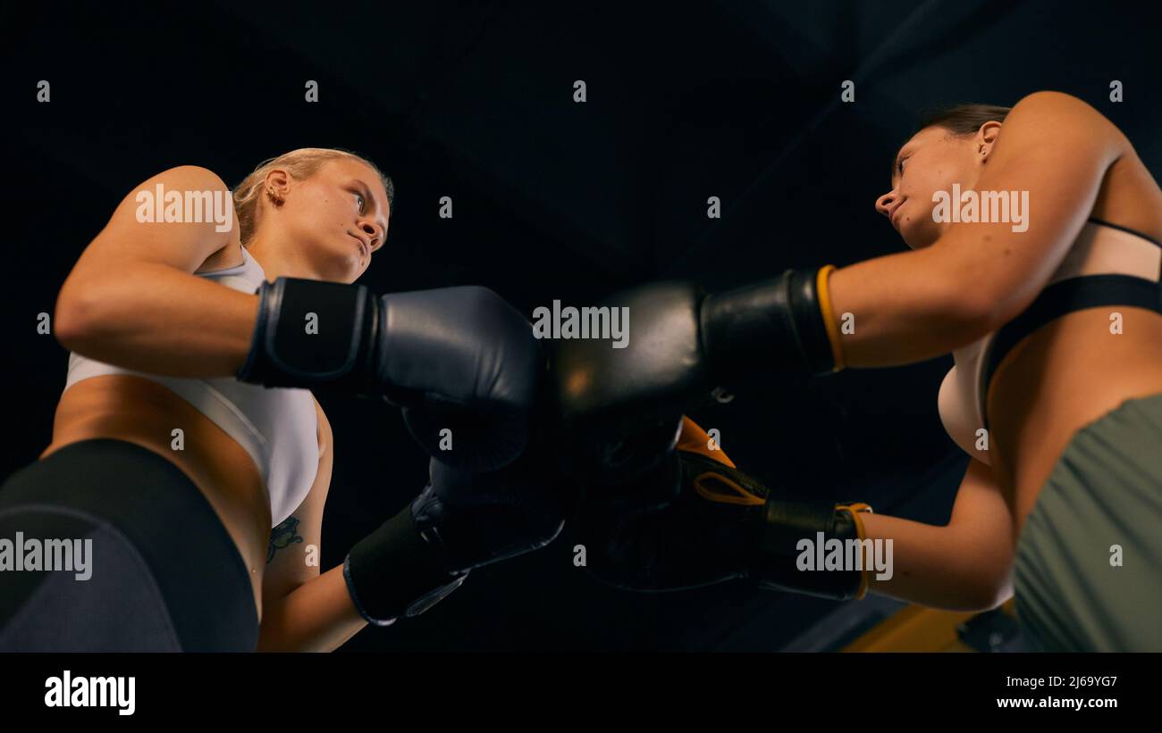 From below horizontal shot of two young women starting sparring match ...