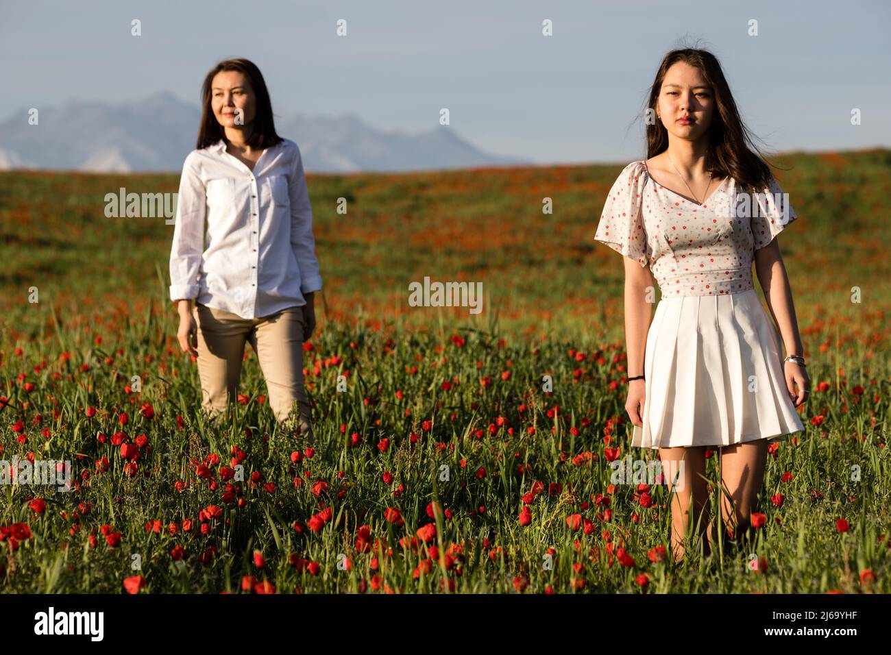 Poppy fields near Leninskoe village near the city of Bishkek in Kyrgyzstan Stock Photo - Alamy
